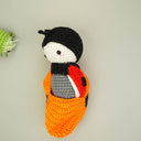 Amigurumi Crochet Pattern . Ladybug and Aphids Lifecycle – Lalylala ...